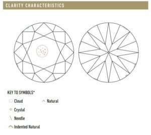 18 Diamond Inclusion Types: Learn the "Okay" and Worst to Avoid ...